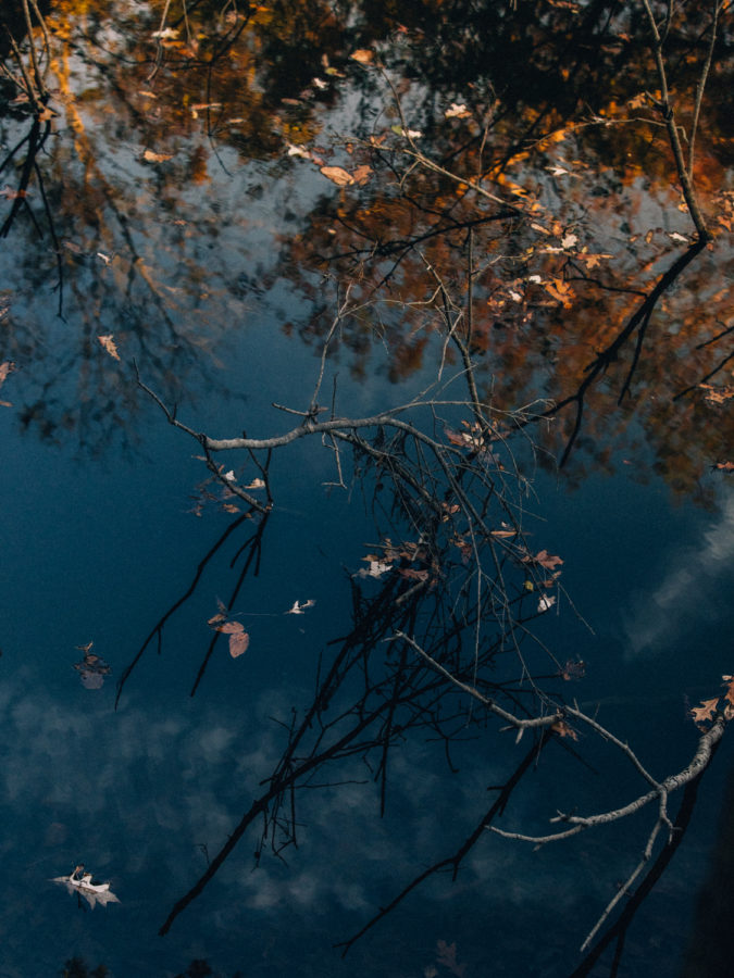 Home page | Robbie Lawrence